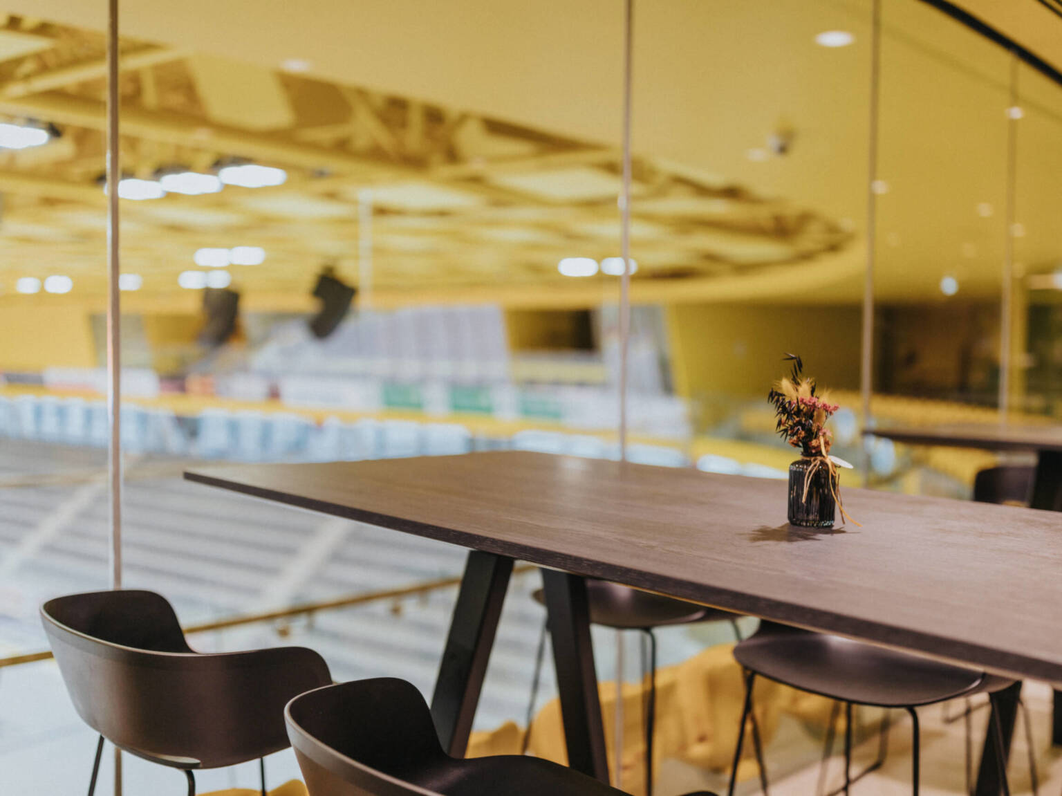 Intercable Arena Bruneck - Unser Stadion im Fokus HC Pustertal